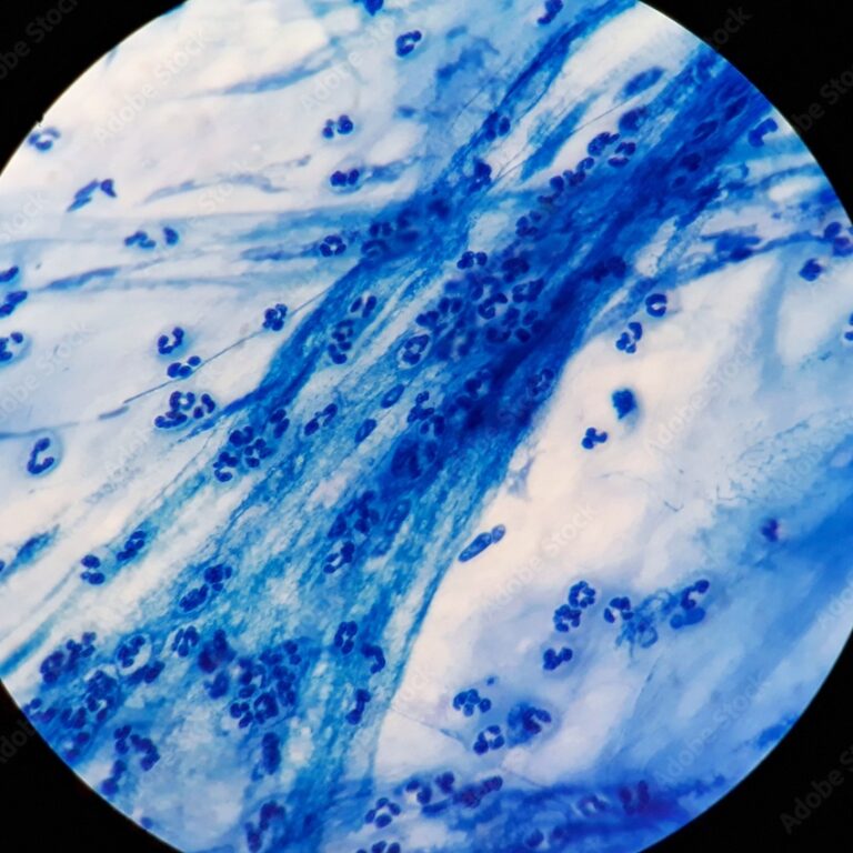 National Bio Vet Lab