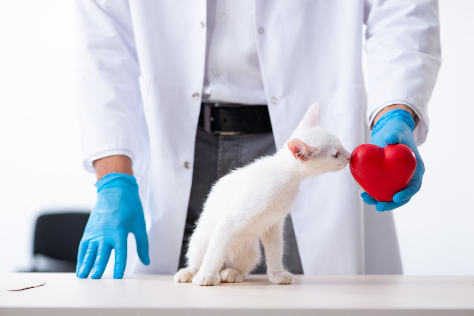 Contact – National Bio Vet Lab